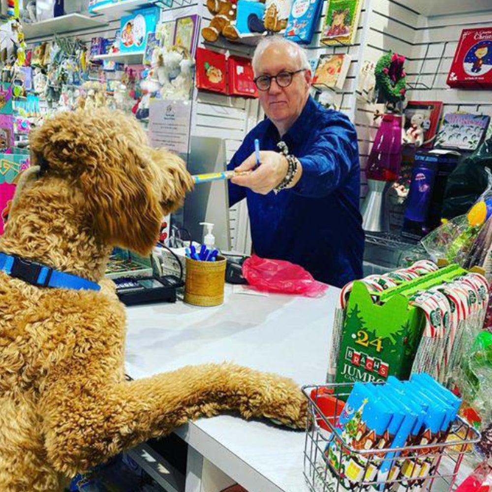 3 DFW Locations – The Toy Maven