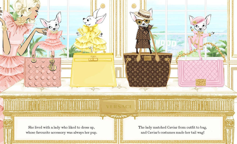 The Toy Maven - 3 DFW Metroplex Locations